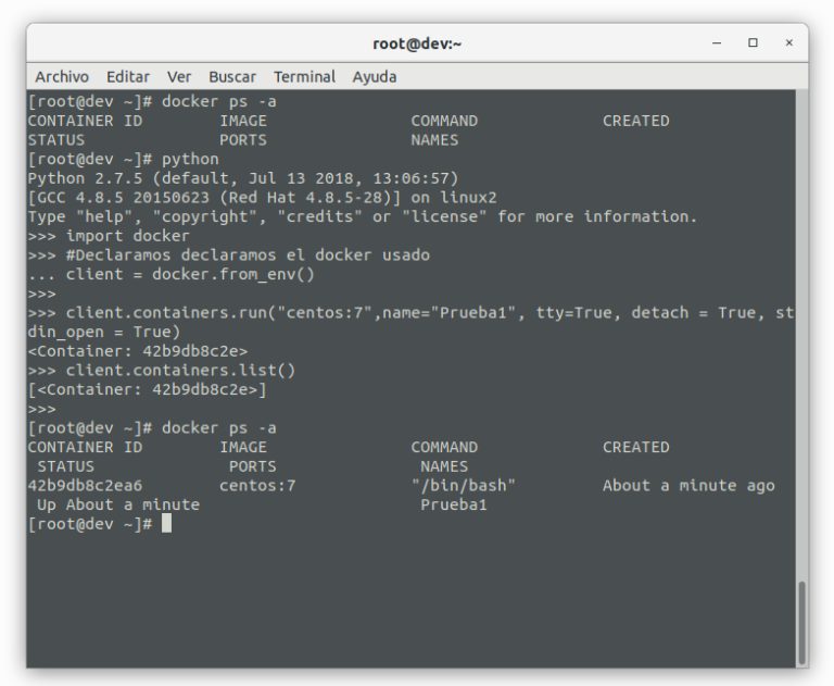 Utilizar Docker Desde Python Aprende It
