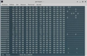 The 8 best hex editors for linux » Aprende IT