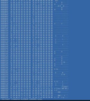 The 8 best hex editors for linux » Aprende IT