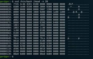 The 8 best hex editors for linux » Aprende IT